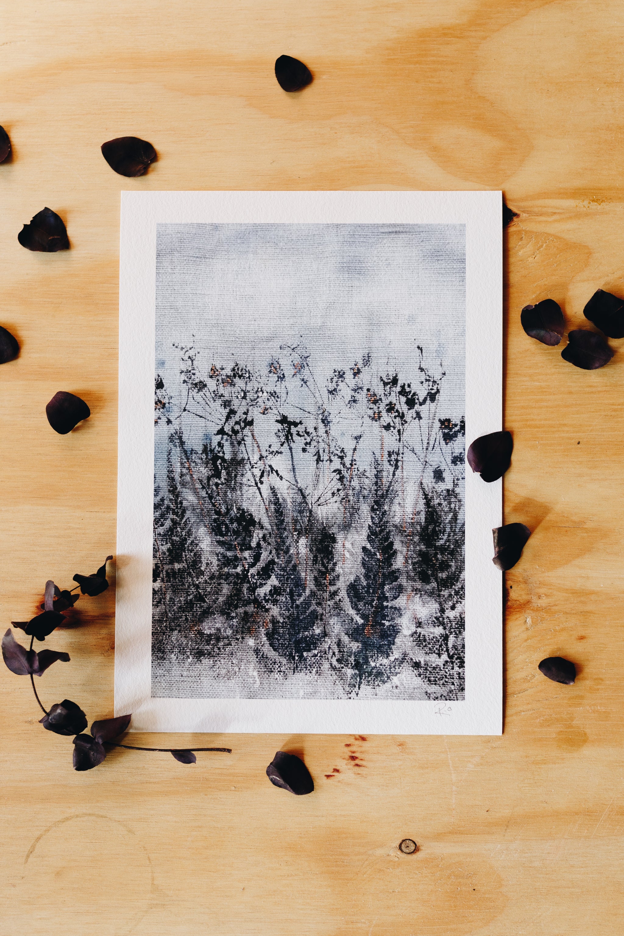 Giclee Art Prints by Ruth Osborne – Ruth Osborne Art
